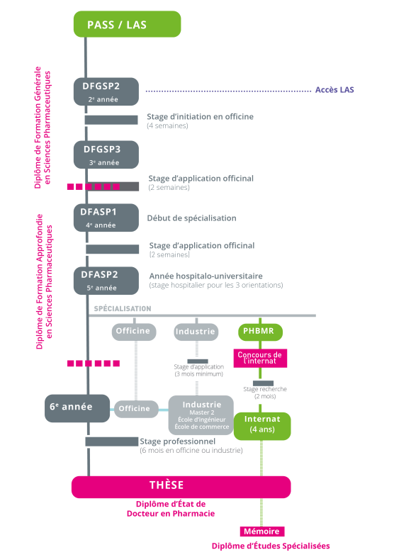 Cursus des études pharmaceutiques | Faculté de Pharmacie Cursus des études pharmaceutiques | Faculté de Pharmacie
